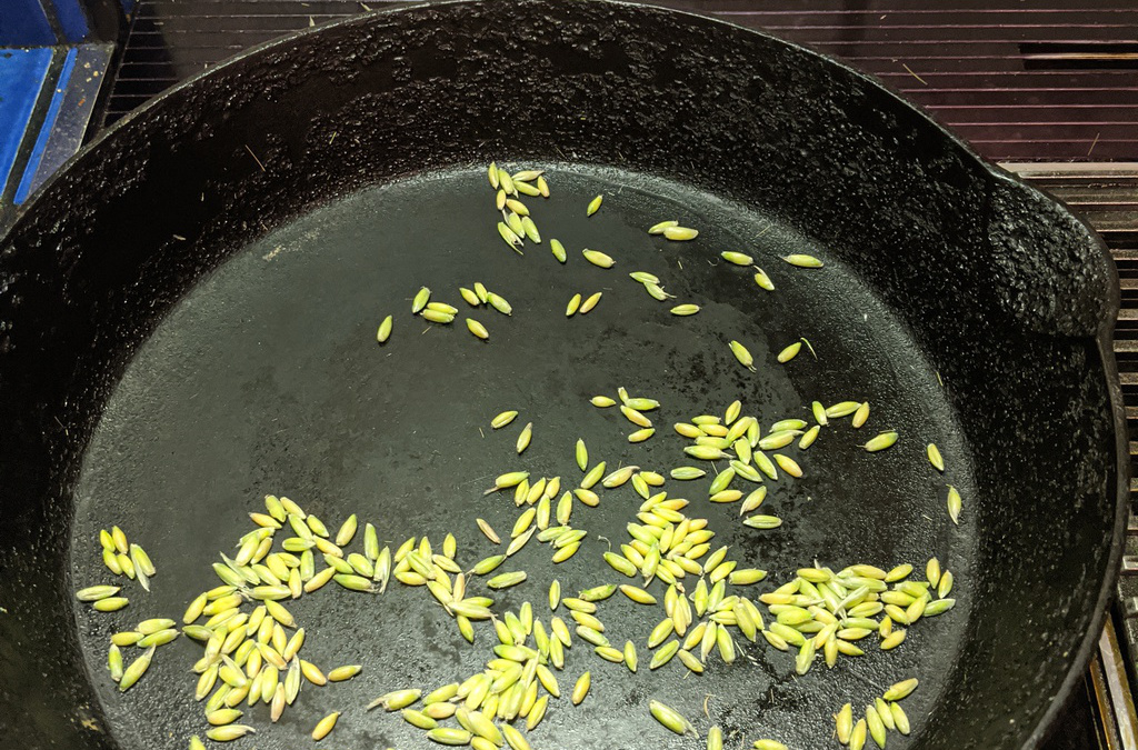 Toasted Young Wheat with Milk – jstookey.com