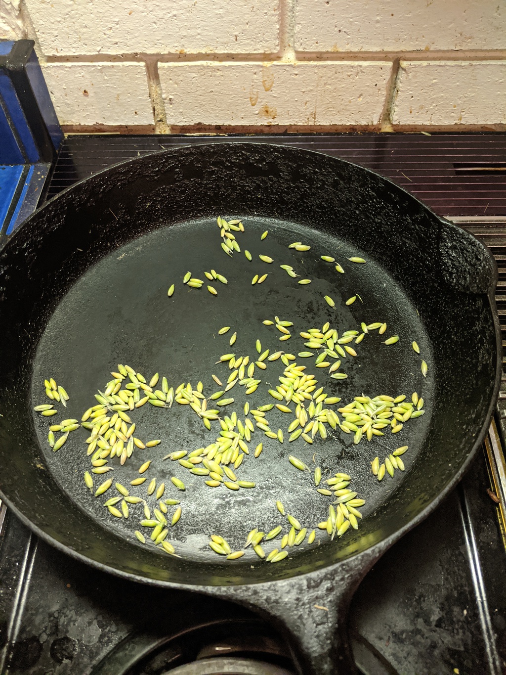 Toasted Young Wheat with Milk – jstookey.com