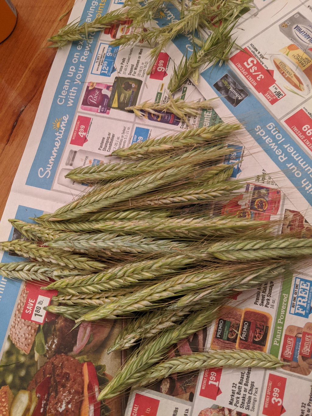 Toasted Young Wheat with Milk – jstookey.com