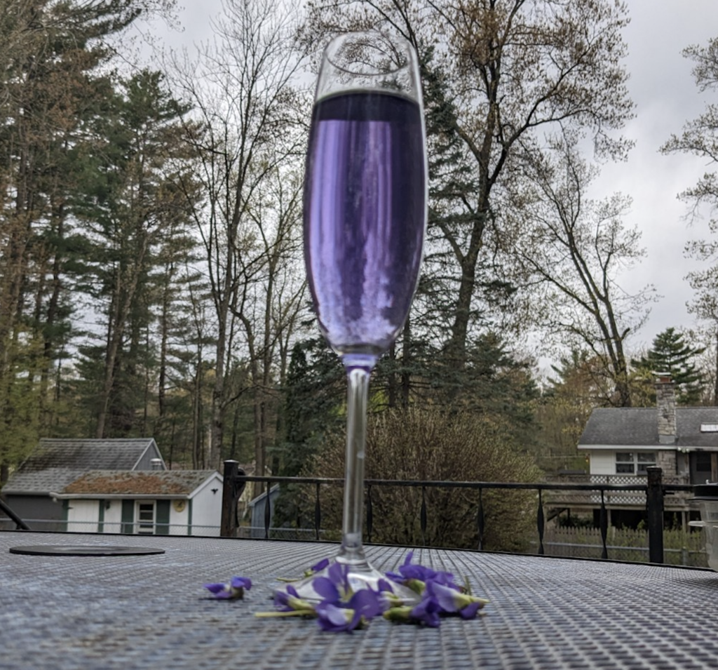 Wild Violet Infusion – jstookey.com
