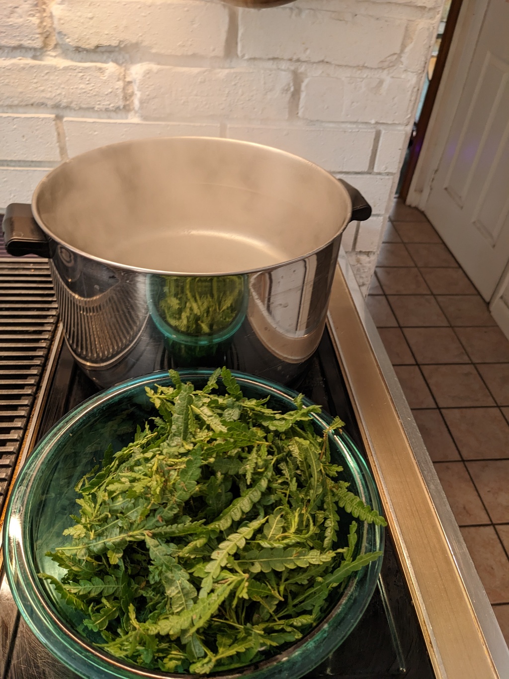 Sweet Fern Tea – jstookey.com